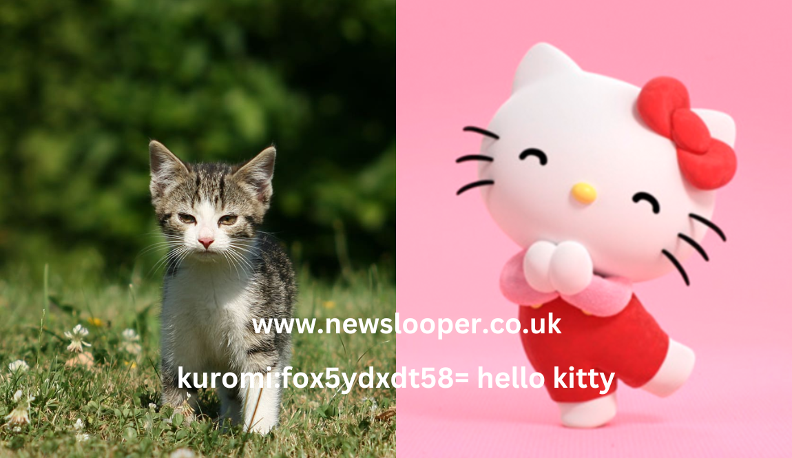 (kuromi = hello kitty: Iconic Duo of Cuteness) - News Looper